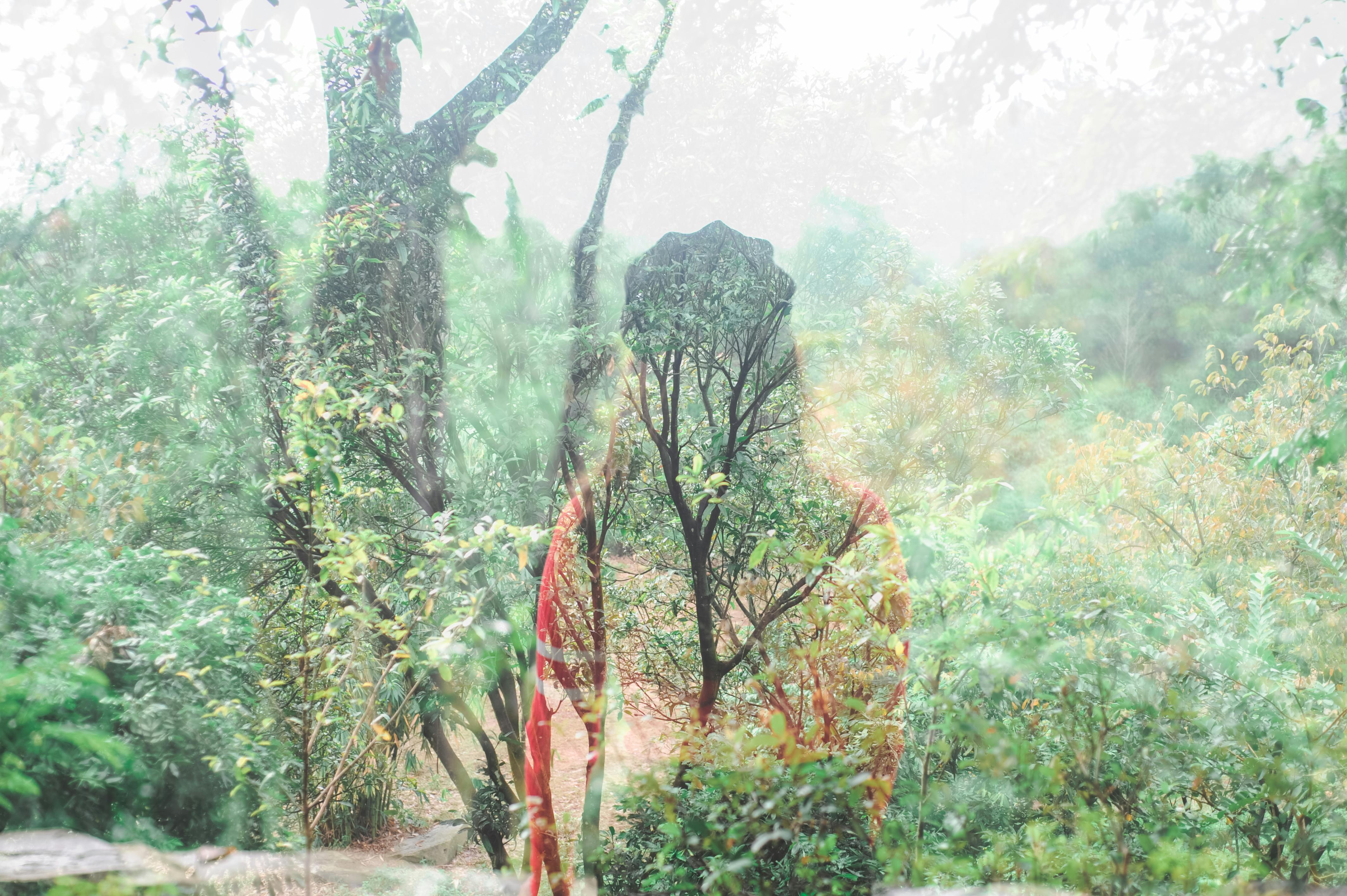 Spiritual Perception | I Am God
